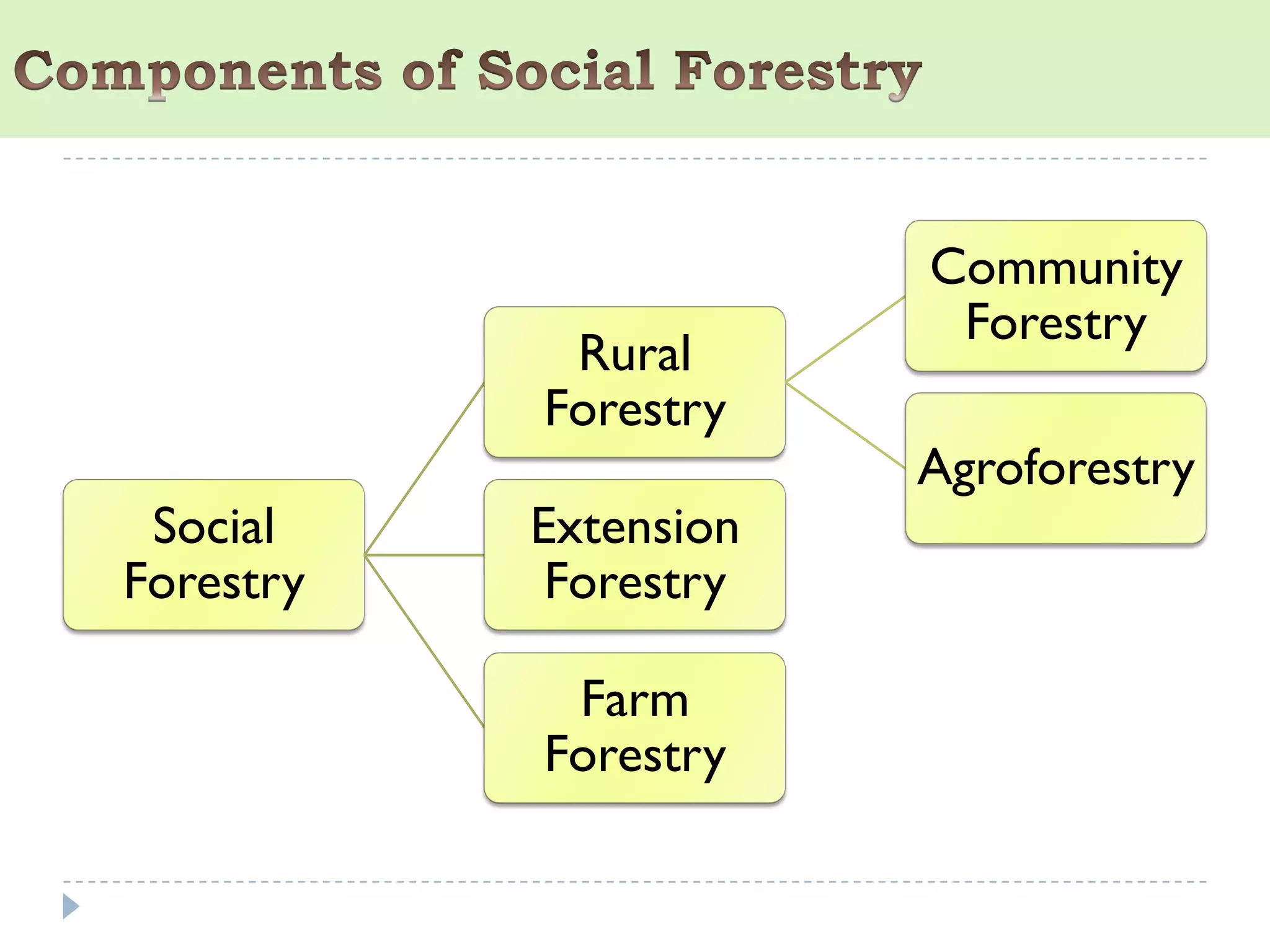 Social Forestry in India | PDF