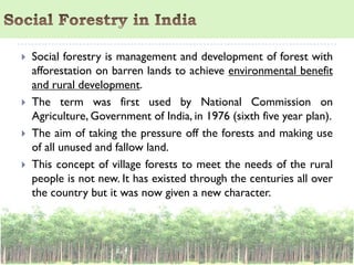 Social Forestry in India | PDF