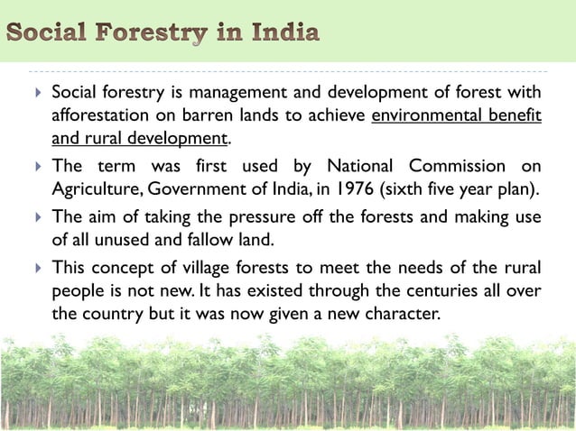 Social Forestry in India | PDF