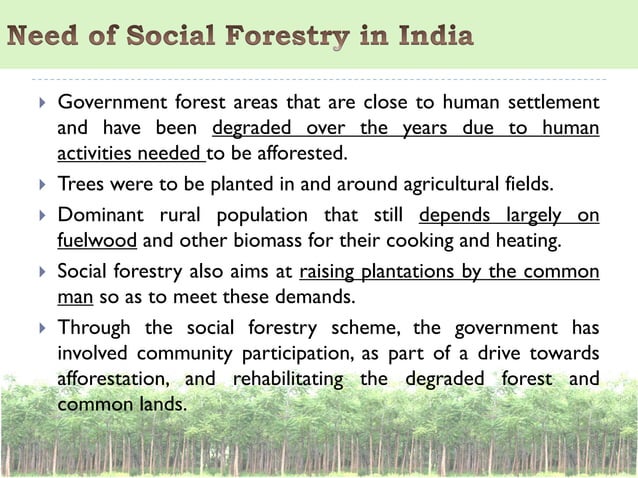 Social Forestry in India | PDF