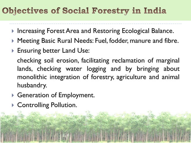 Social Forestry in India | PDF