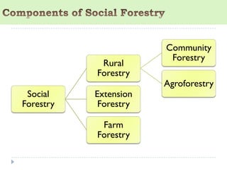 Social Forestry in India | PDF