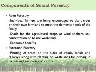 Social Forestry in India | PDF