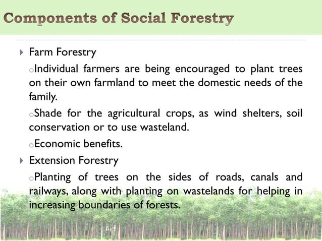 Social Forestry in India | PDF