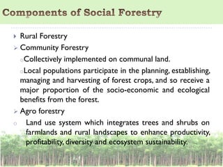 Social Forestry in India | PDF