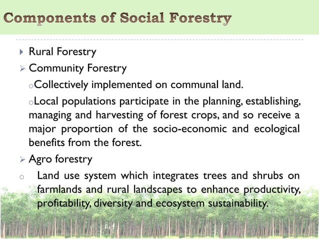 Social Forestry in India | PDF