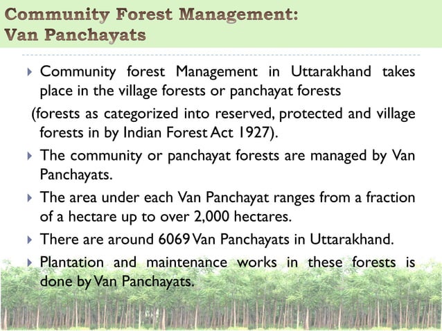 Social Forestry in India | PDF