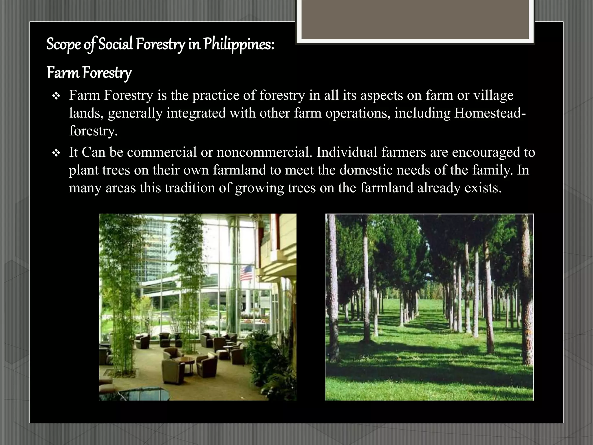 Social forestry program in the philippines | PPTX