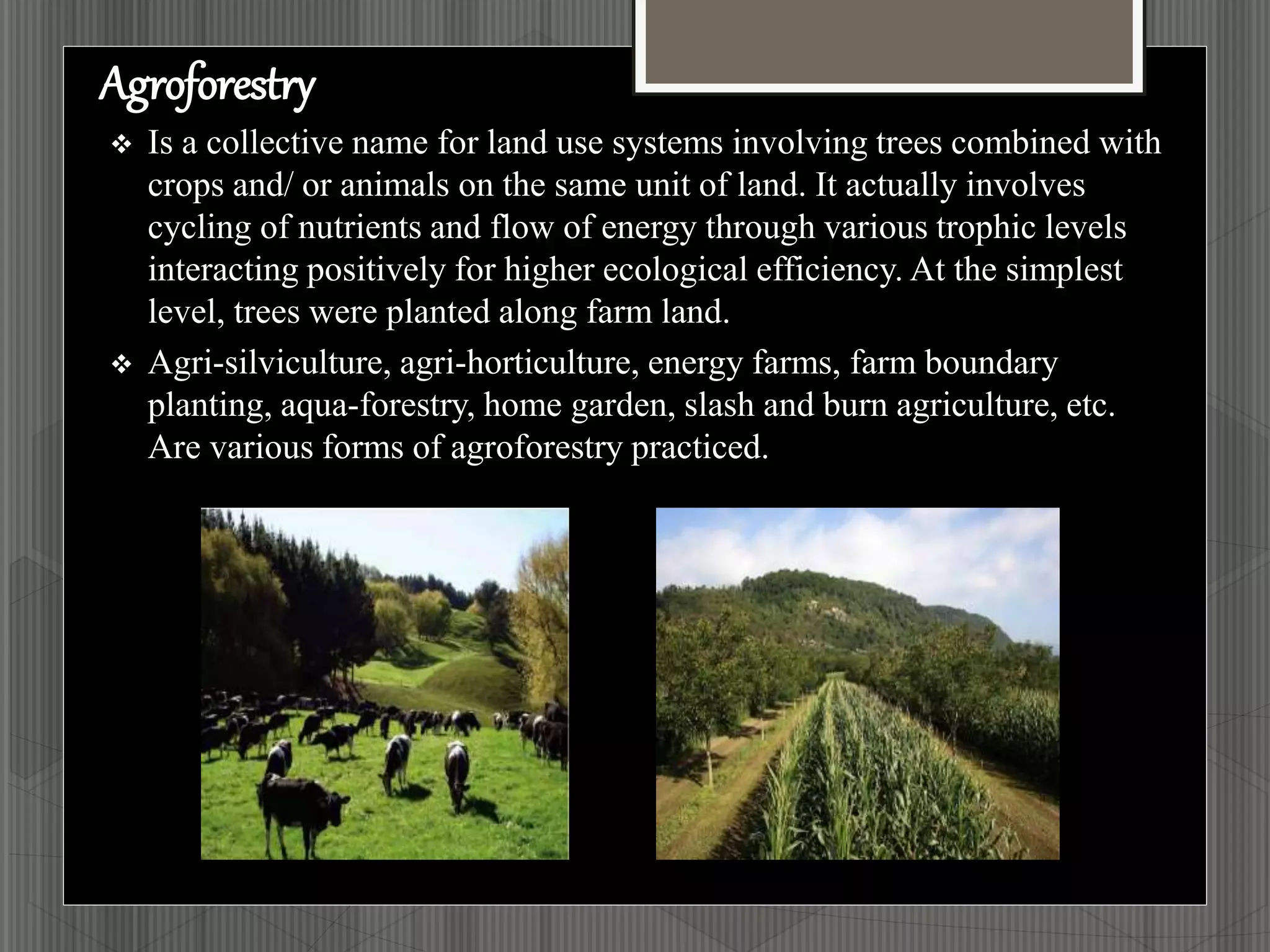 Social forestry program in the philippines | PPTX