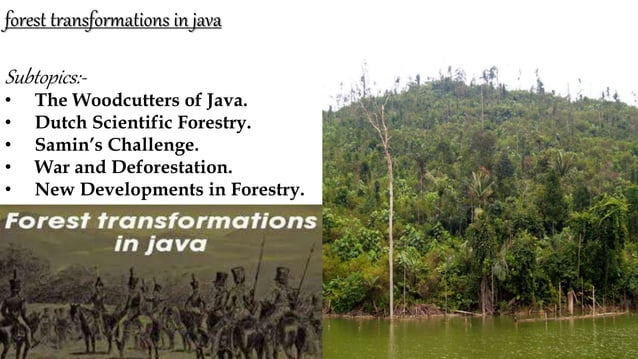 Social forest transforestation in java | PPTX