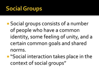 Social groups | PPTX