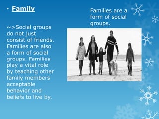 Social groups | PPTX