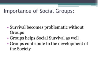 Social groups | PPTX
