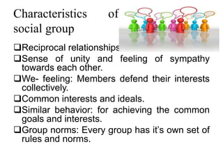Social groups | PPTX