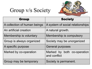 Social groups | PPTX