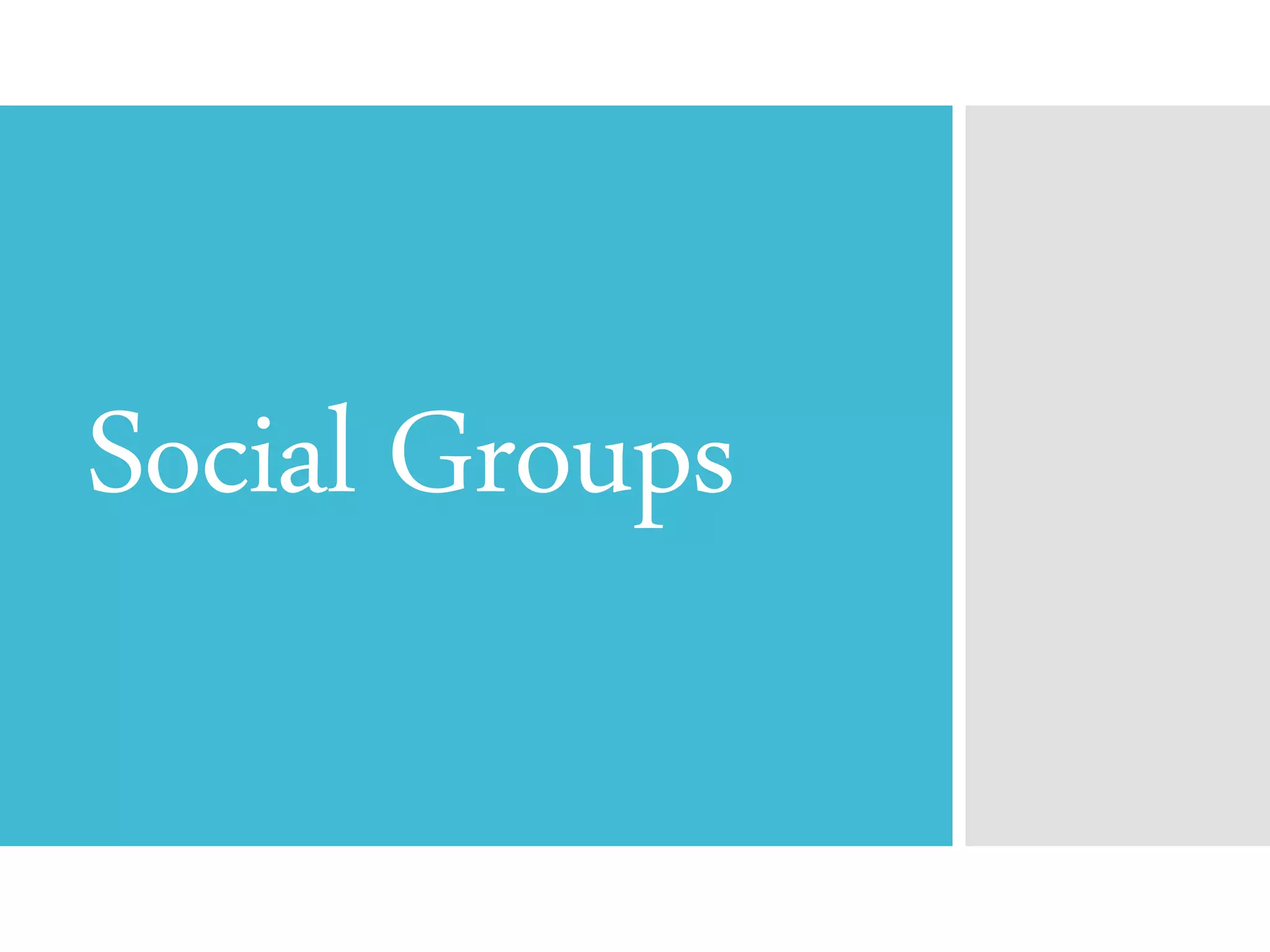 Social Groups in Society | PPTX