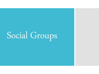 Social Groups in Society | PPTX