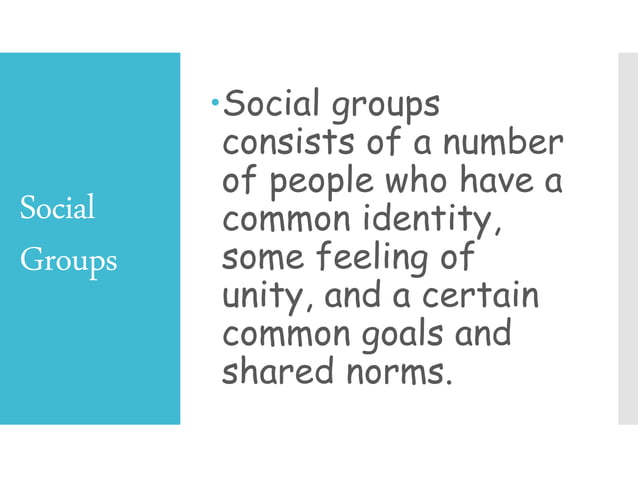 Social Groups in Society | PPTX