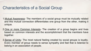 Social groups 12c | PPTX