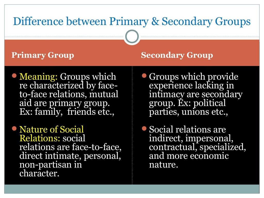 Social groups and processes