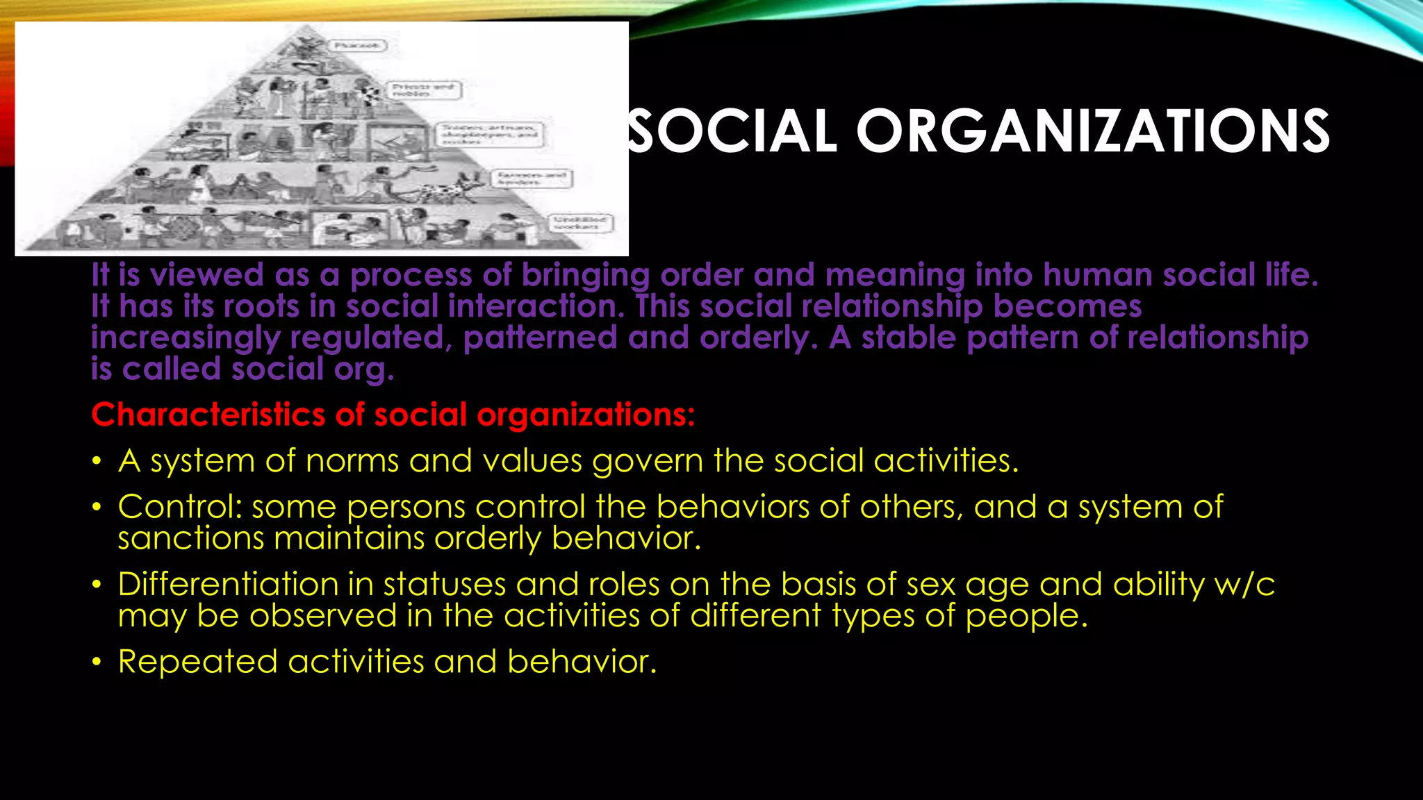 Social groups and social interactions | PPTX