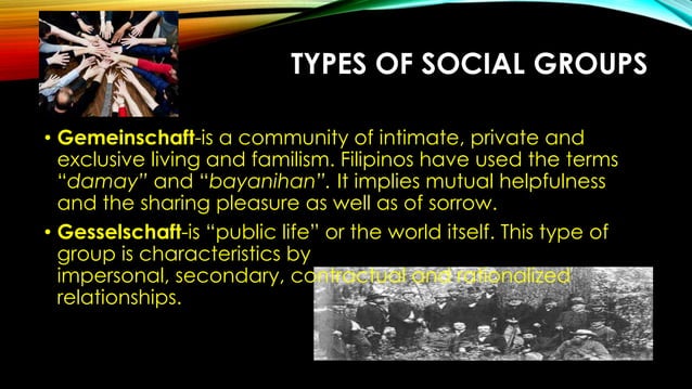 Social groups and social interactions | PPTX
