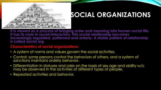 Social groups and social interactions | PPTX
