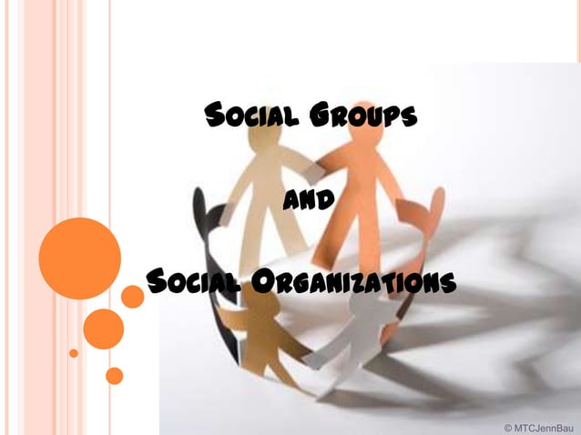 Social groups and Social organization | PPTX
