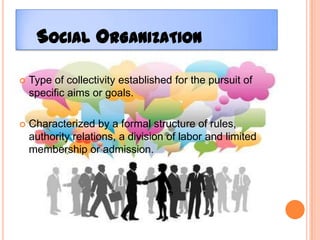 Social groups and Social organization | PPTX