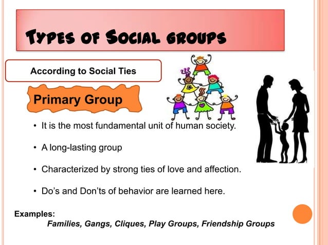 Social groups and Social organization | PPTX