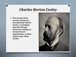 Social groups and social organization BSHRM4A @ STI Balagtas | PPT