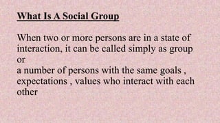 Social groups and types | PPTX