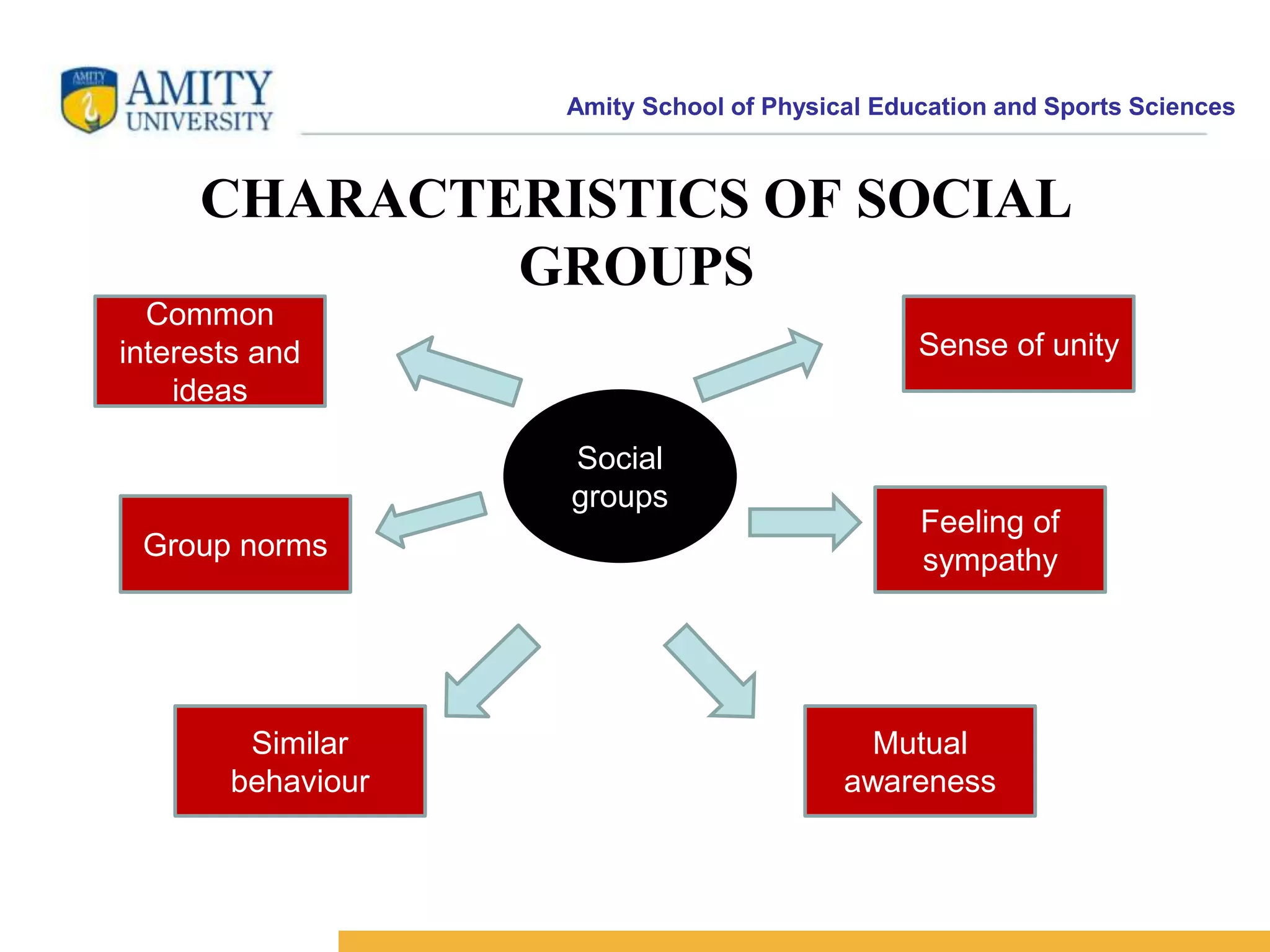 Types of Social groups ( psychology and sociology) | PPT