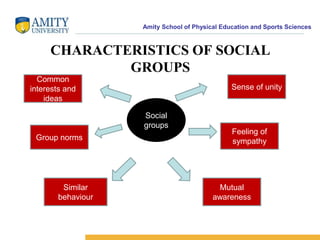Types of Social groups ( psychology and sociology) | PPT