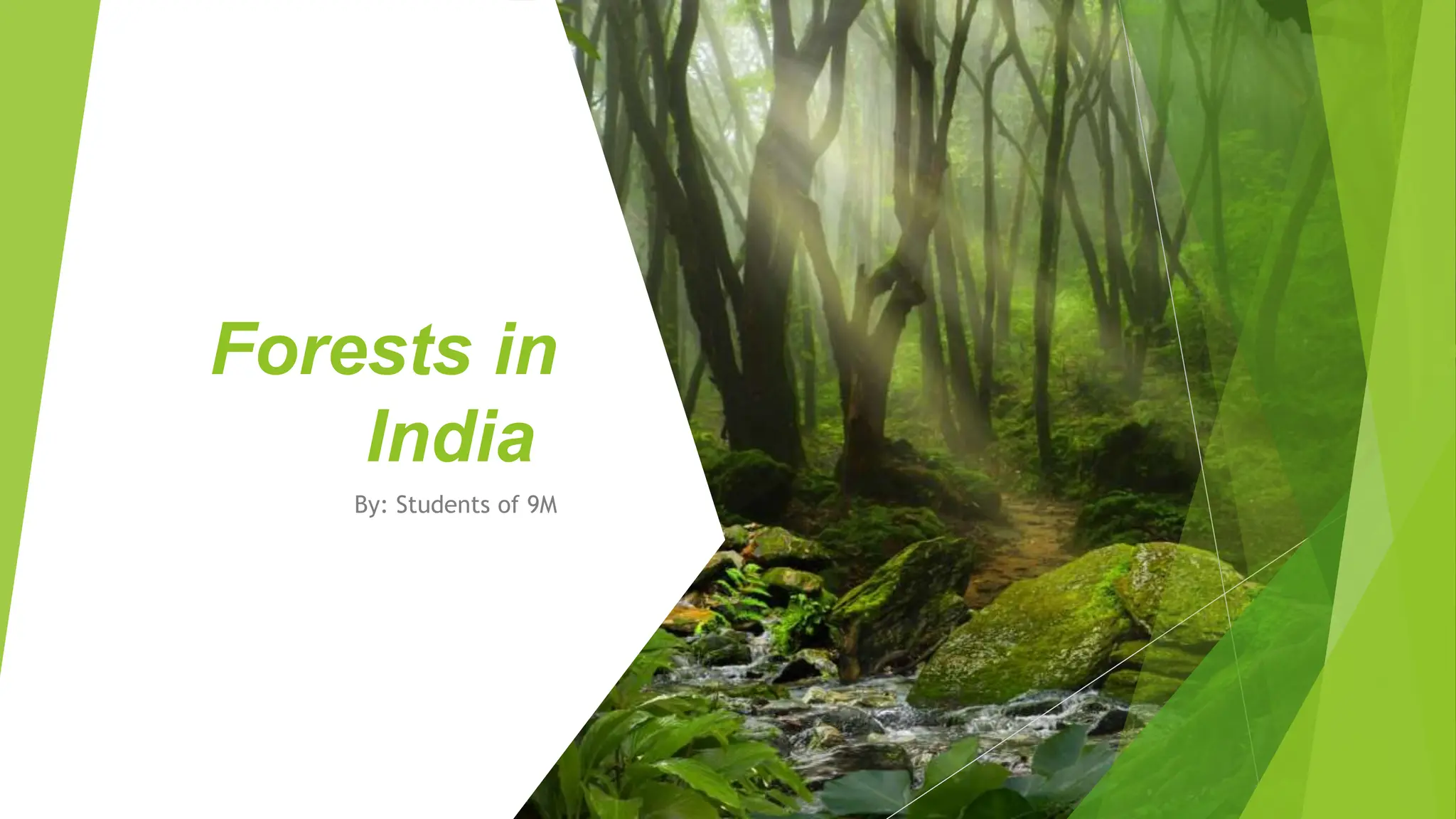 social IDP.pptx89yhs8[0yh9g[97gf[97gfu7fg['o9g[uf9[fg7 | PPT