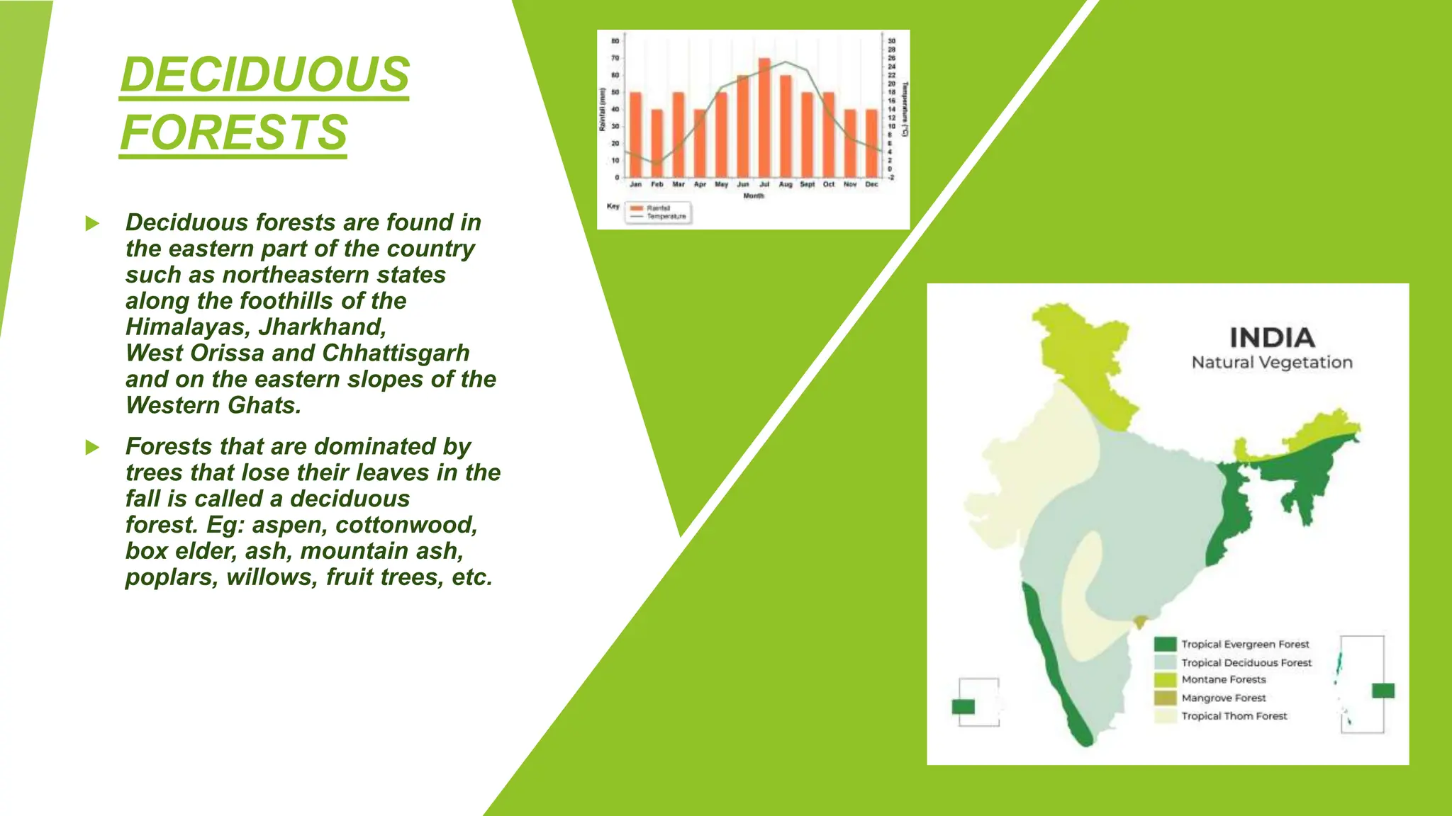 social IDP.pptx89yhs8[0yh9g[97gf[97gfu7fg['o9g[uf9[fg7 | PPT