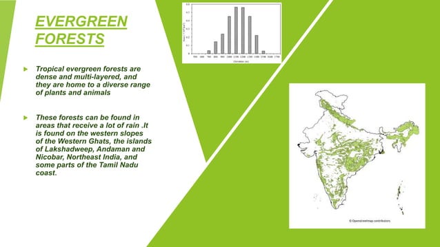 social IDP.pptx89yhs8[0yh9g[97gf[97gfu7fg['o9g[uf9[fg7 | PPT