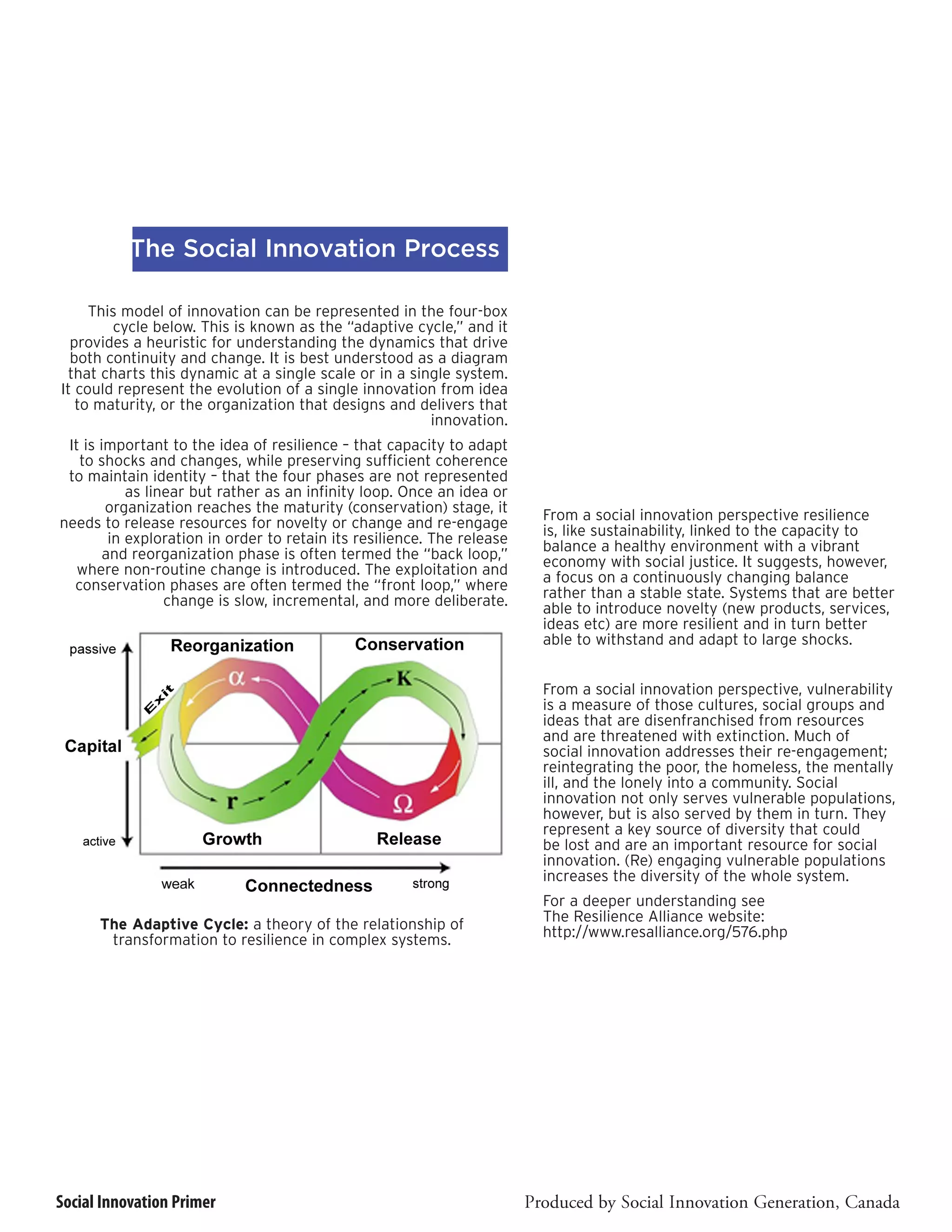Social Innovation Primer | PDF