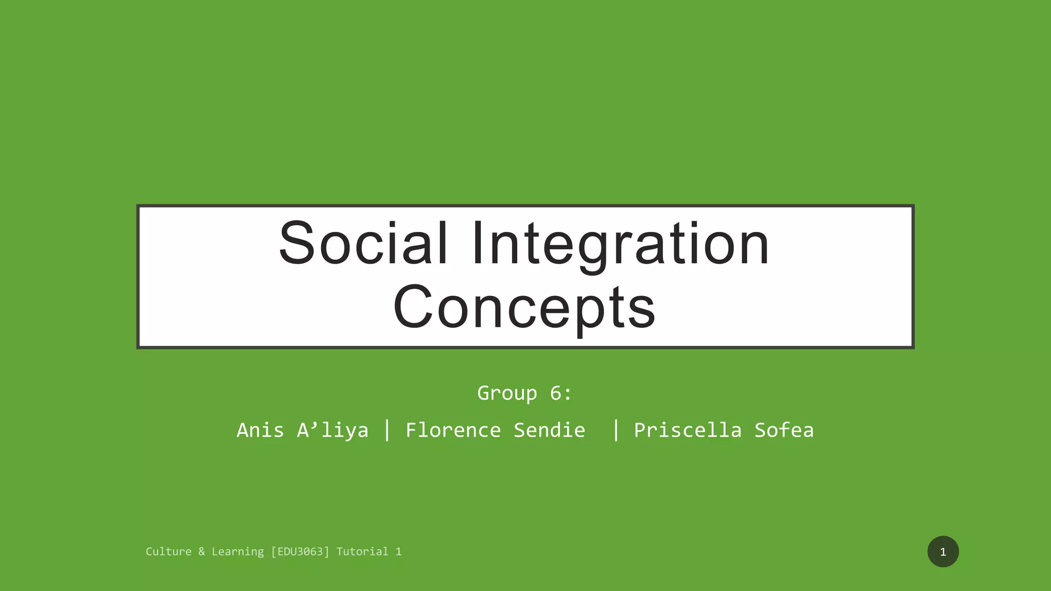 Social integration concepts | PPTX