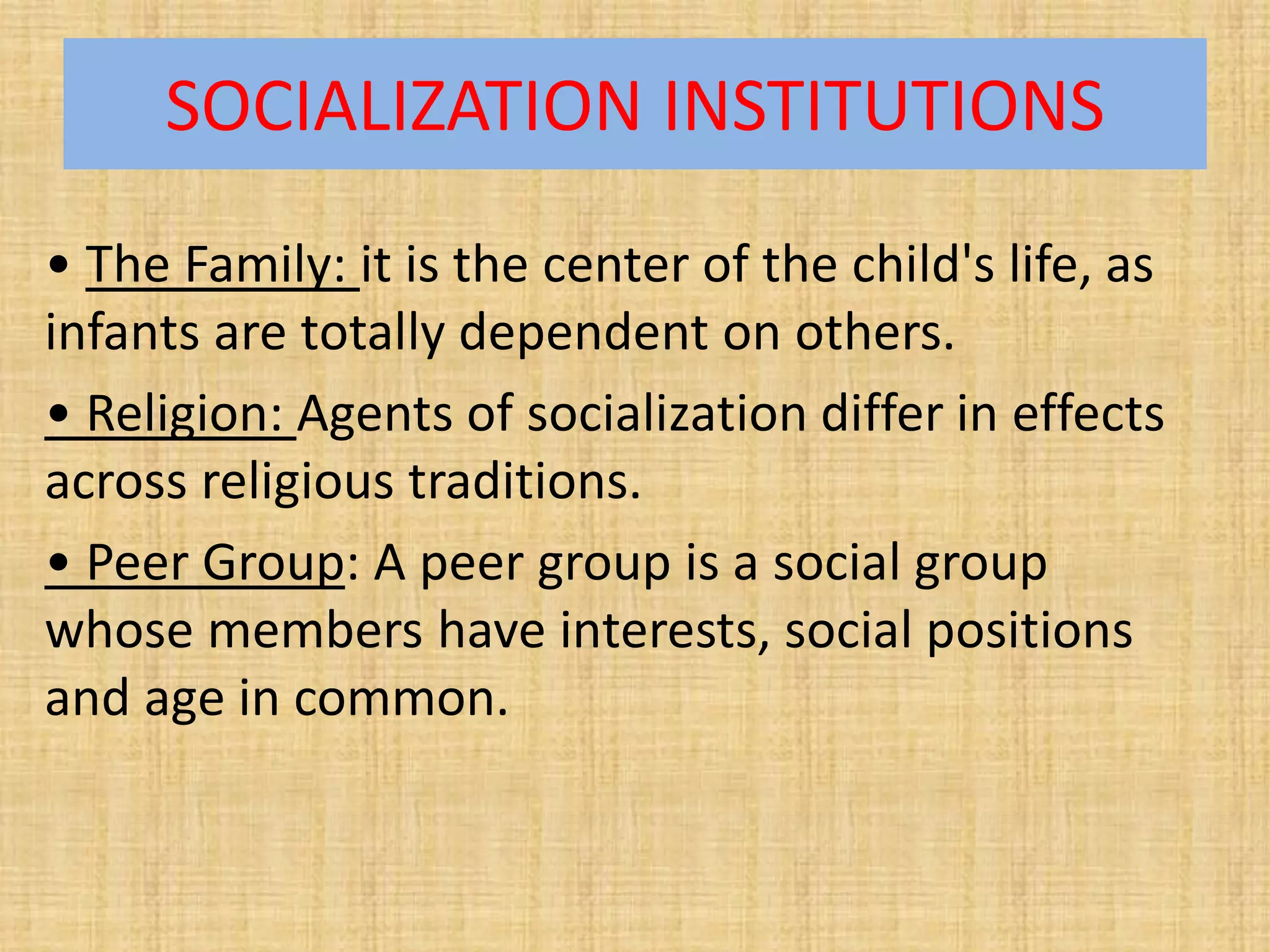 SOCIALIZATION | PDF