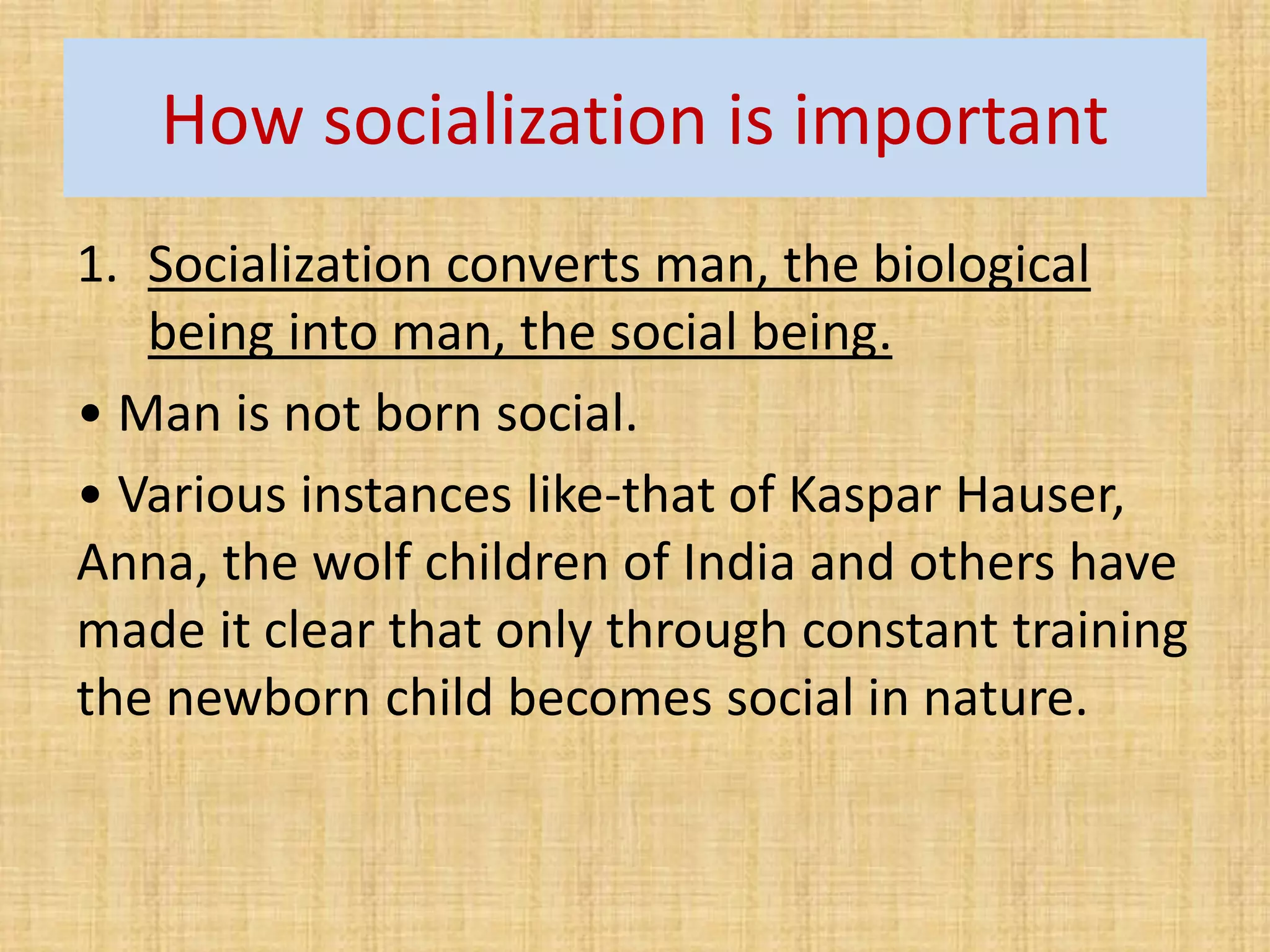 SOCIALIZATION | PDF