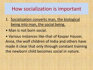 SOCIALIZATION | PDF