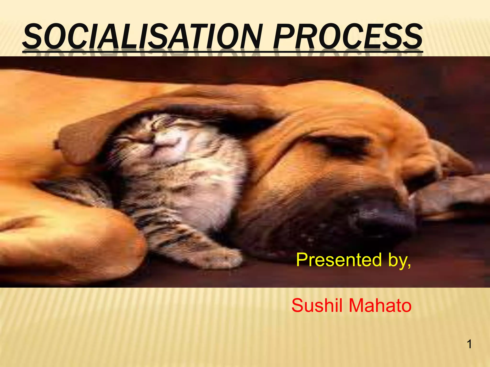 Socialisation process | PPTX