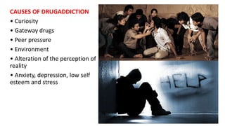 Social issues Poverty, Drugs, Prostitution and Gender Sensitivity | PPTX