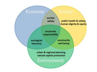 Social issues and environment | PPTX