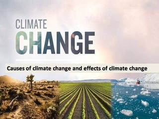 Social Issues And Environment