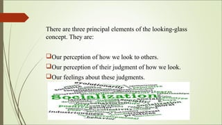 Socialization | PPT