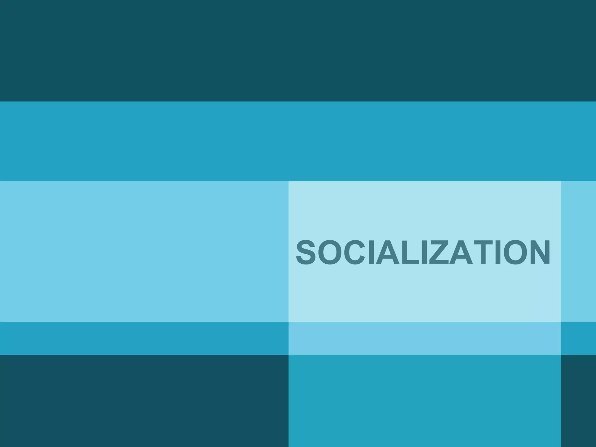 ELEMENTS OF SOCIAL LIFE: SOCIALIZATION | PPTX | Genres