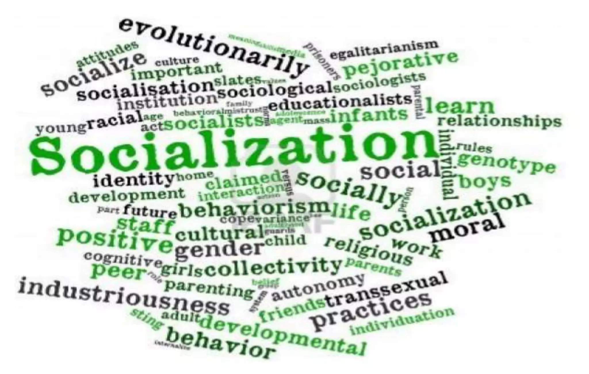 Socialization | PPTX