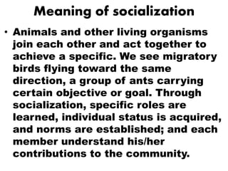 Socialization | PPTX